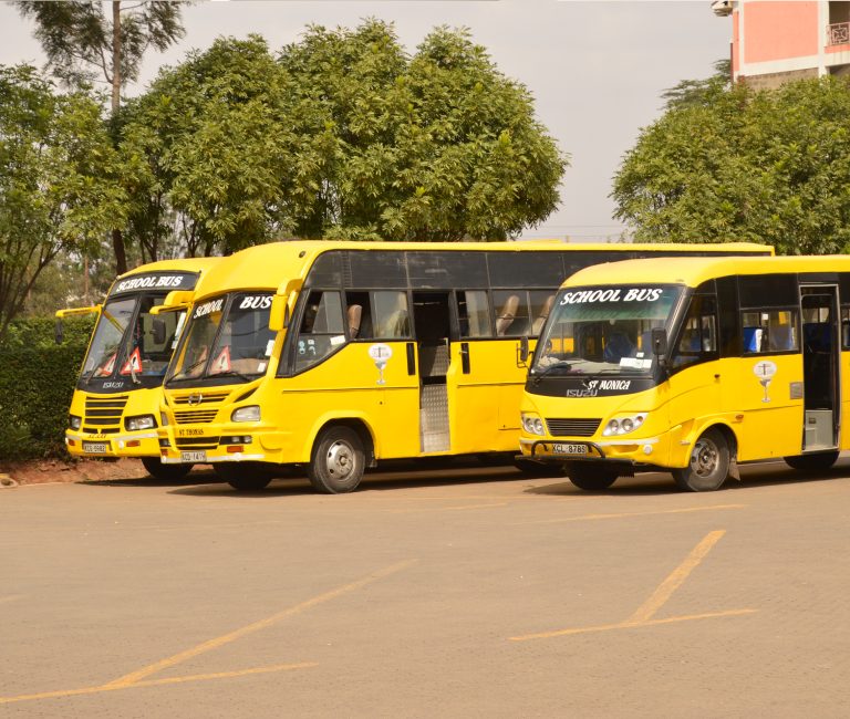 Thomas Burke Schools